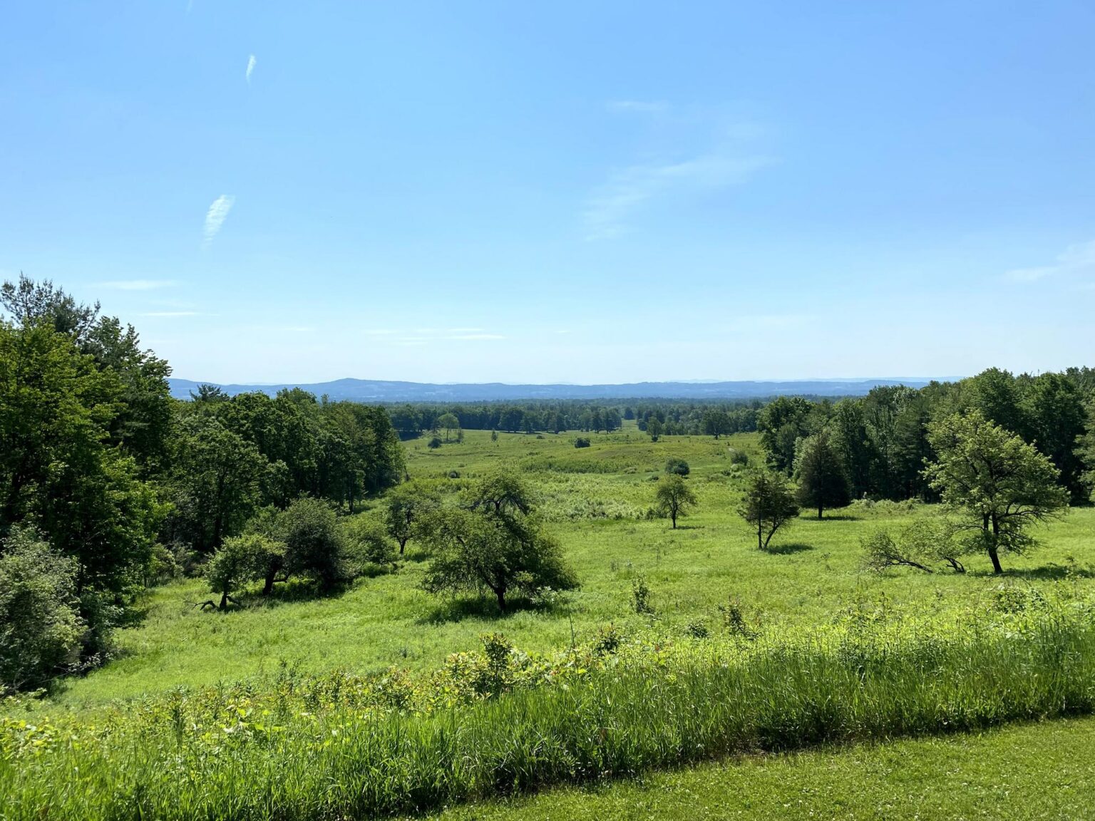Battlefield Visits, Revolutionary War Edition: Saratoga – No Vice & No ...